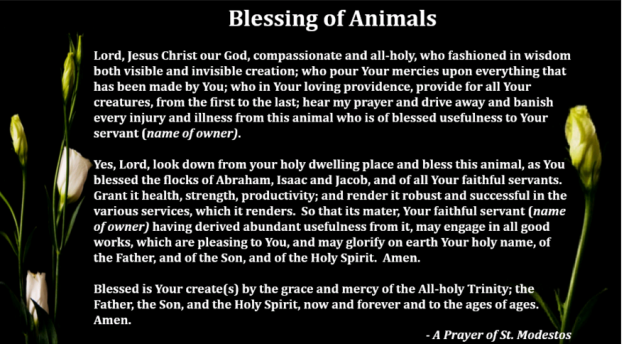 Blessing of Animals - Waters Edge Animal Hospital & Urgent Care